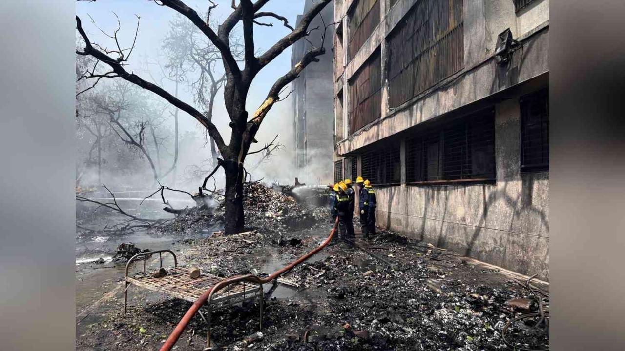Air India Dreamliner Crashes Near Ahmedabad, 242 Aboard