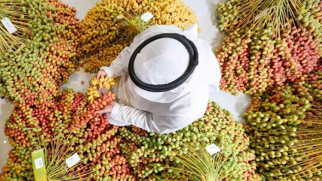 Liwa Date Festival 2025 Begins with Culture & Contests