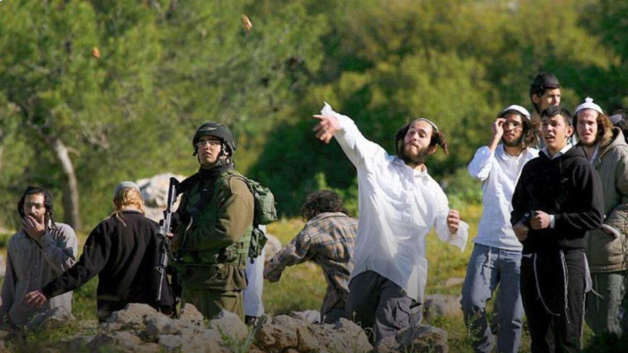 UN Warns Sharp Rise in Israeli Settler Attacks in West Bank