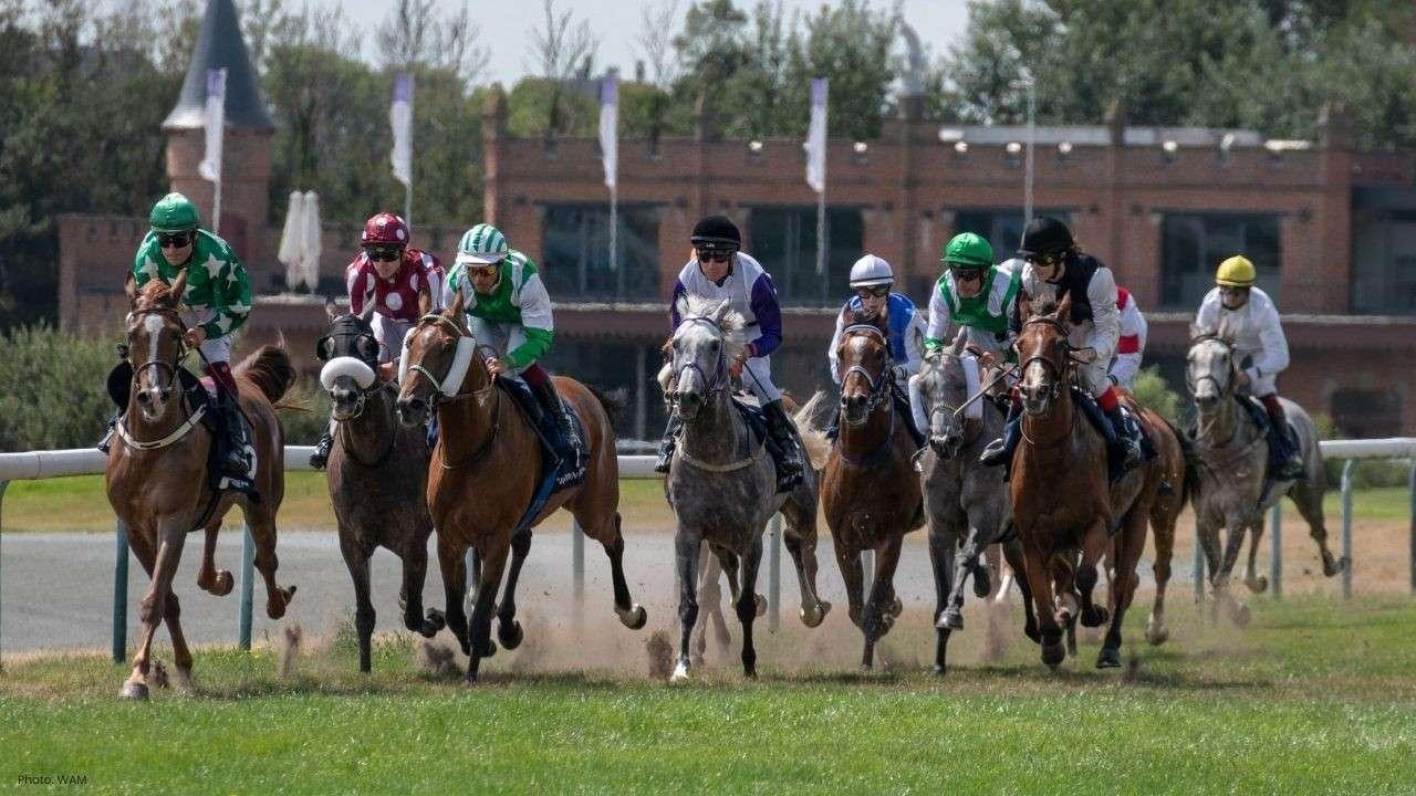 Waregem Hosts 11th UAE President Cup Race with Elite Arabian Horses