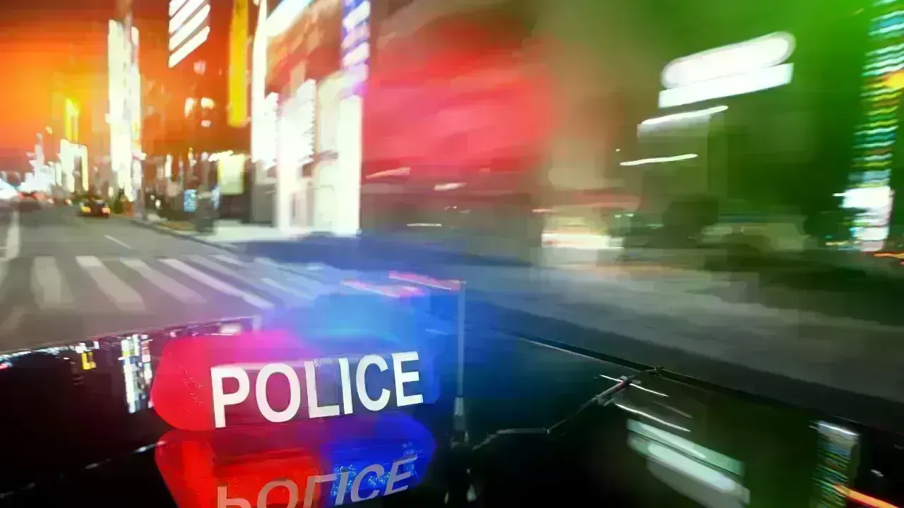 Bondi Beach Shooting: Lone Attackers Not Tied to Terror Networks