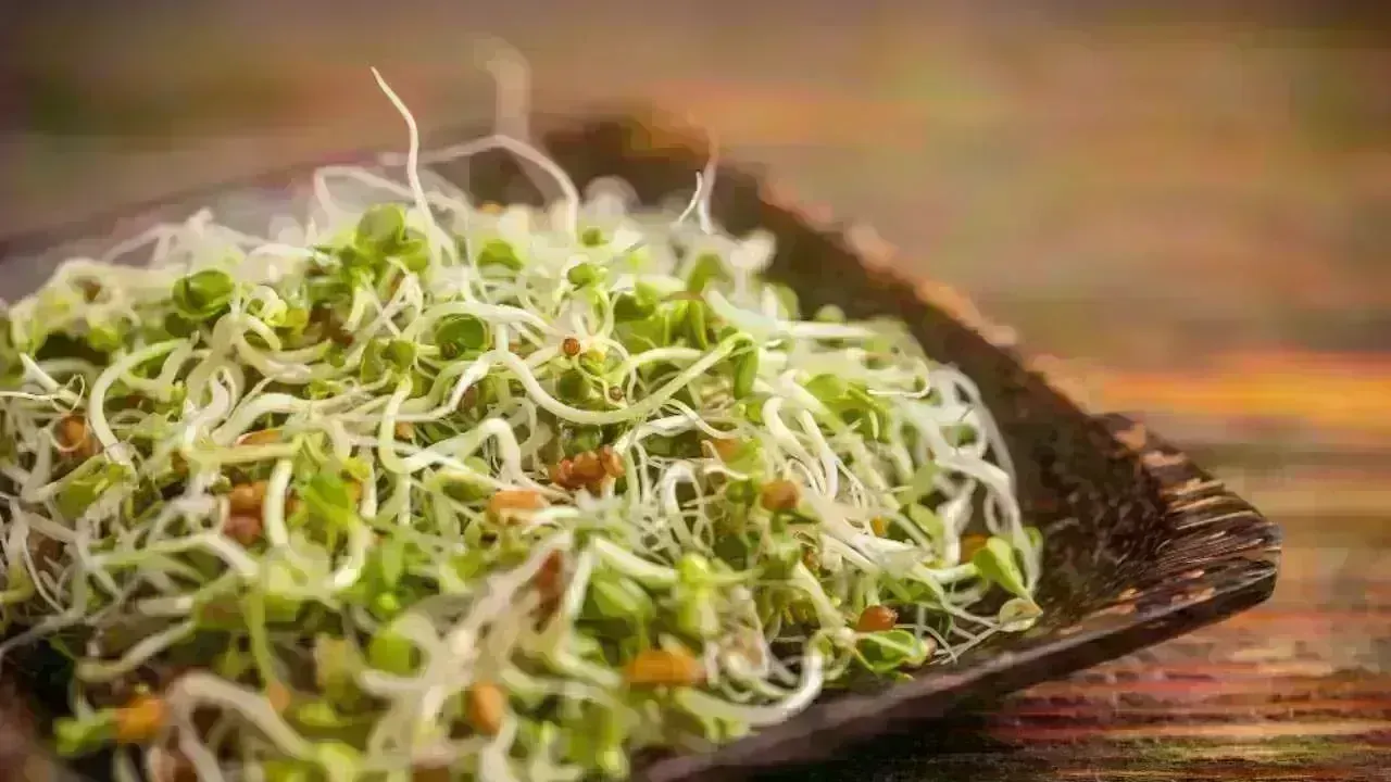 Uncover the Surprising Health Benefits of Daily Sprouts